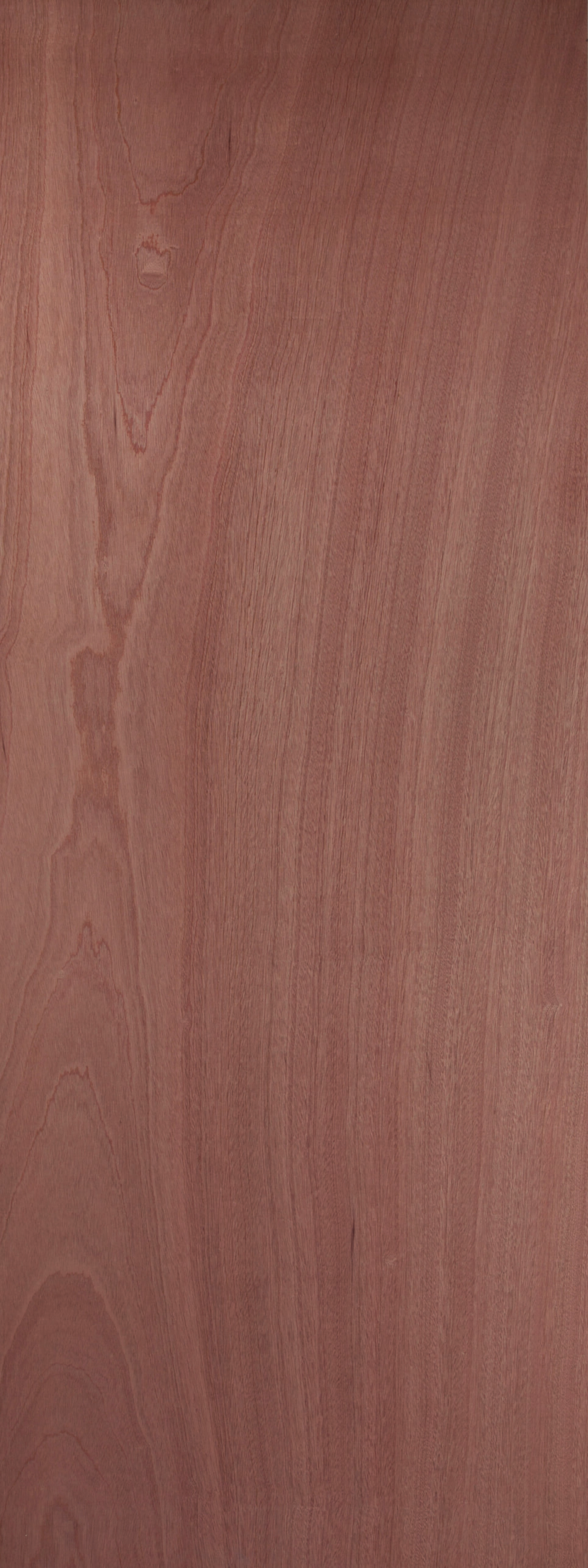Paint Grade Ply External Fire Door By Jeld-wen At Express Doors Direct